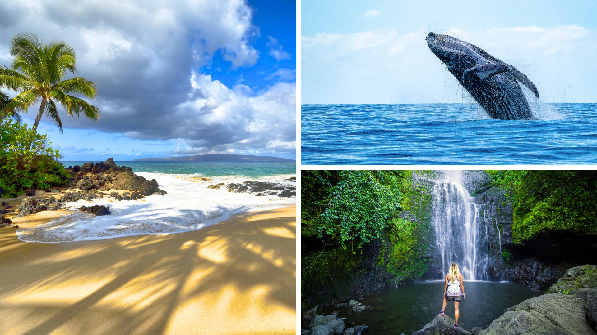 When Is The Best Time to Visit Maui? - Midway Vacations