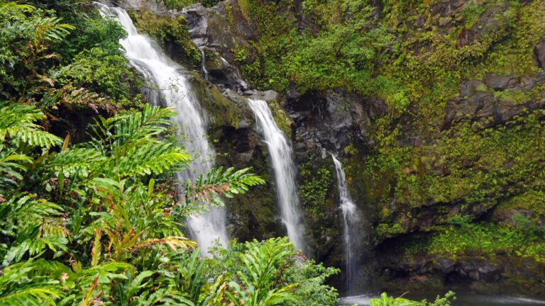 Top 13 Waterfalls On The Road To Hana In Maui - Midway Vacations